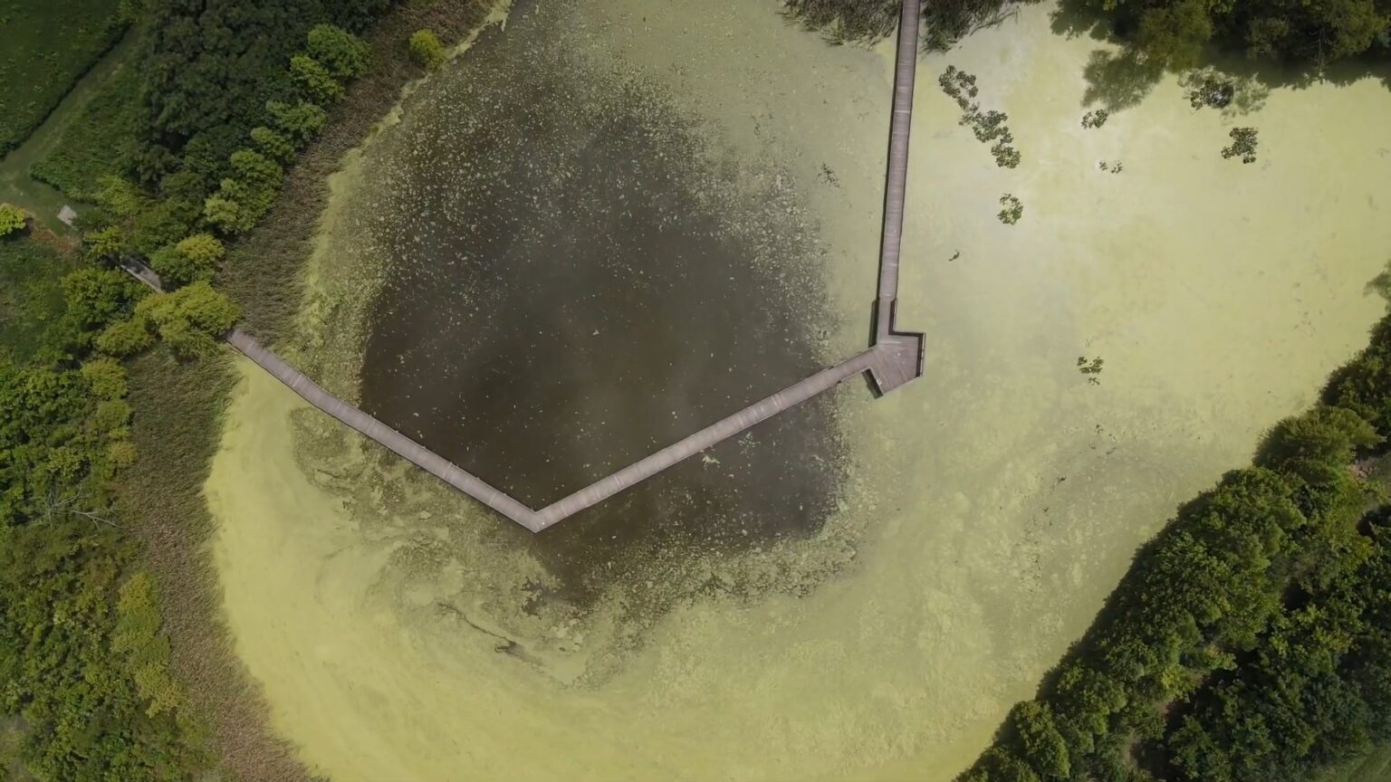 29 Things To Do In Evansville, Indiana In 2024